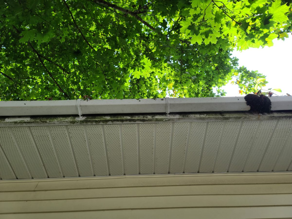 Four Twelve Roofing - Why Gutter Maintenance is an Essential Part of ...